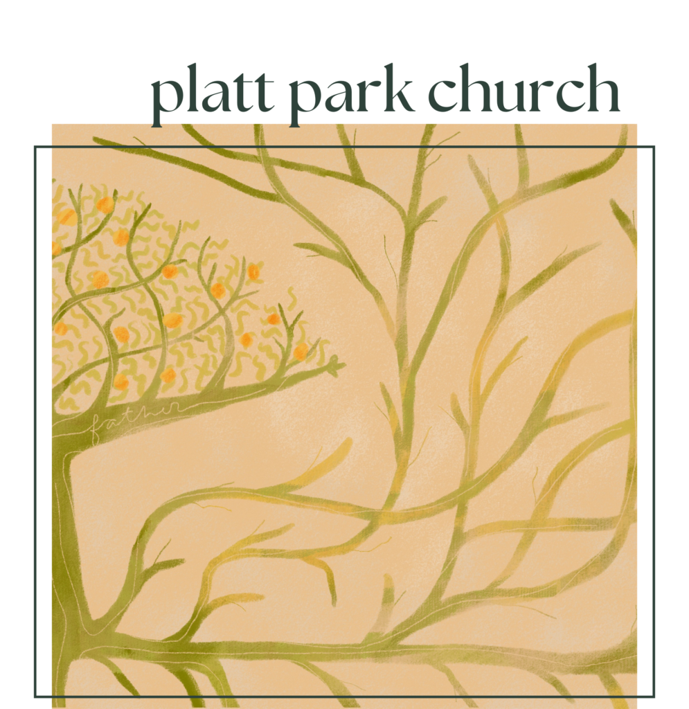The Unfolding Life - Platt Park Church